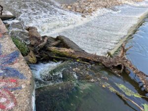 Frequently Asked Questions about Dams